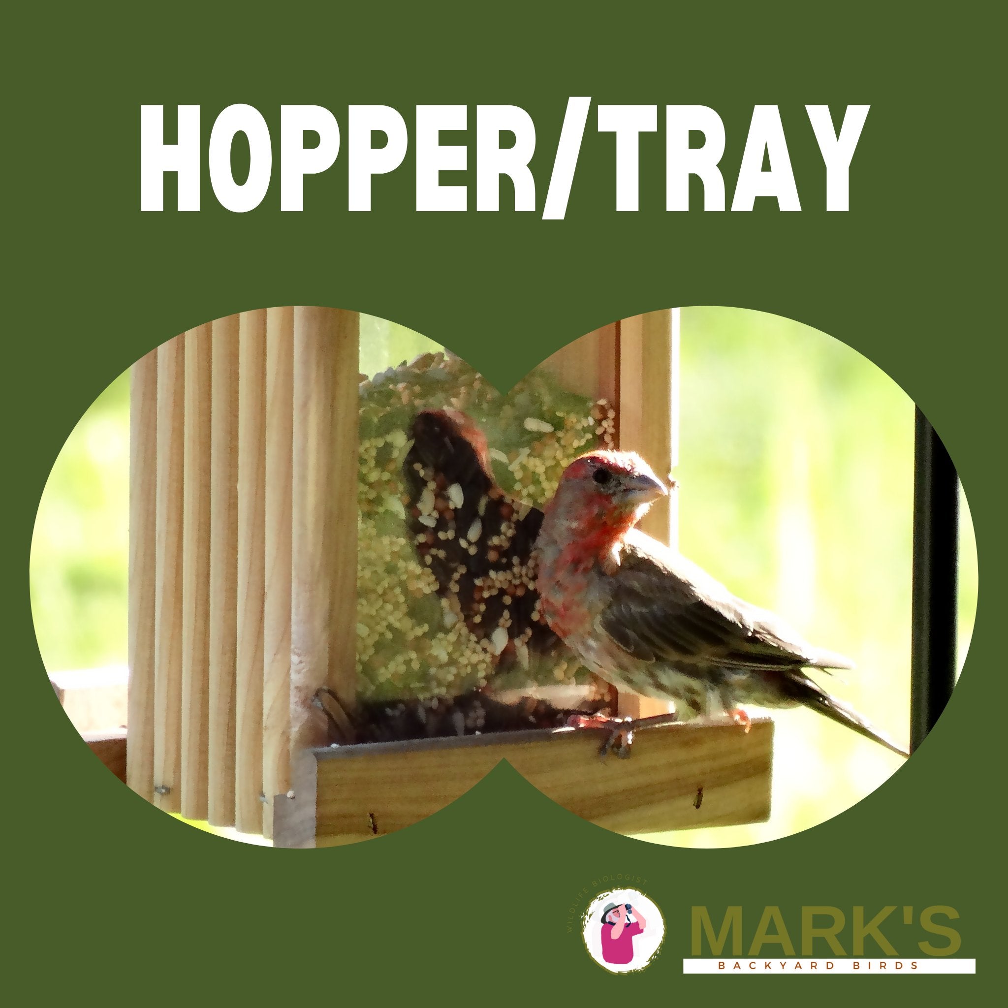 Hopper/Tray Feeders – Backyard Bird Center