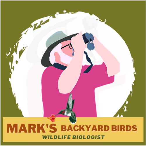 Mark's Backyard Birds – Backyard Bird Center