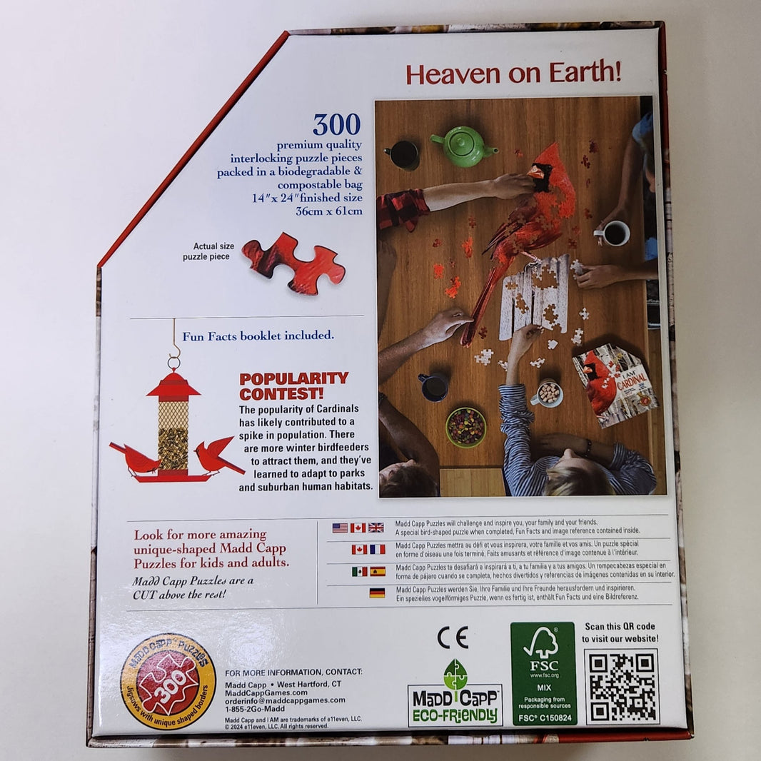 Cardinal Lovers – Backyard Bird Center