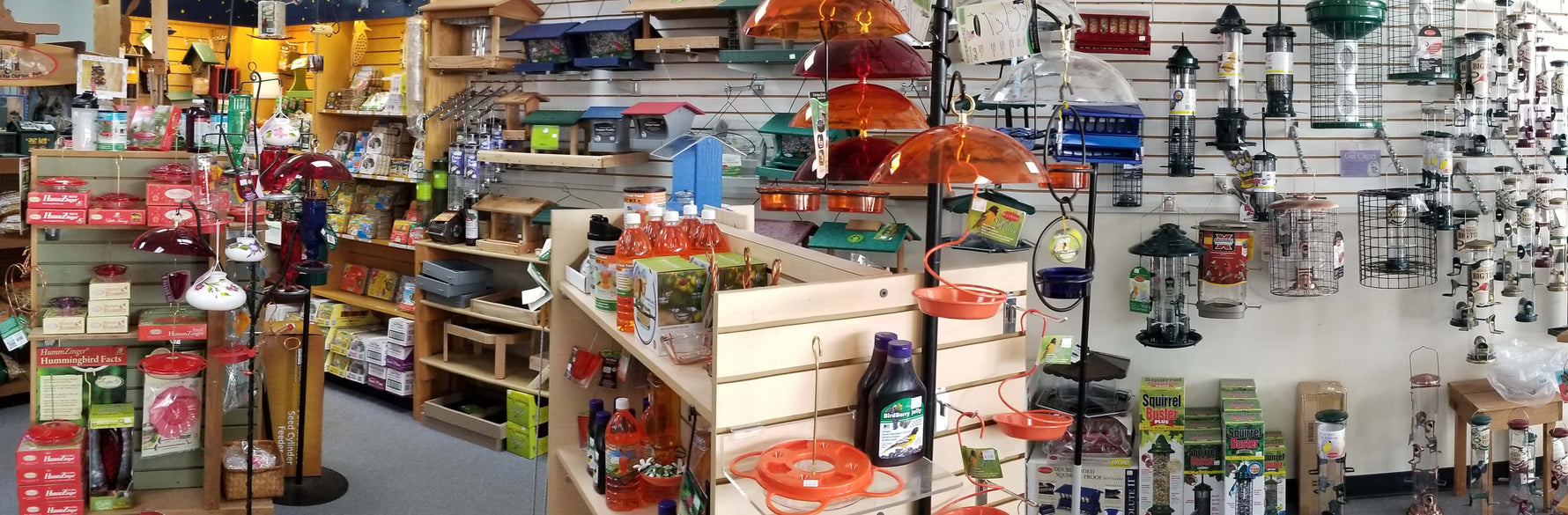 Bird feeders, birdseed, bird houses attracting birds to your backyard ...