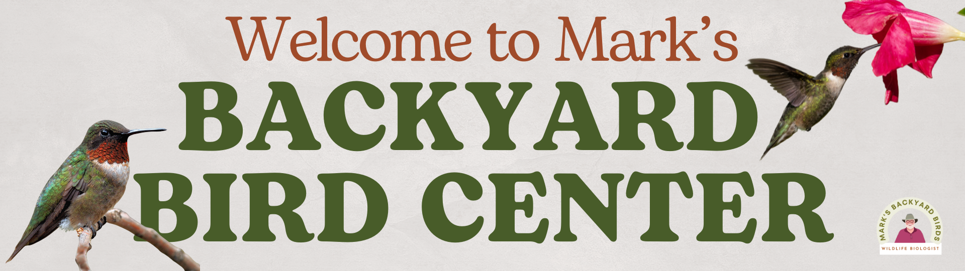 Bird feeders, birdseed, bird houses attracting birds to your backyard ...