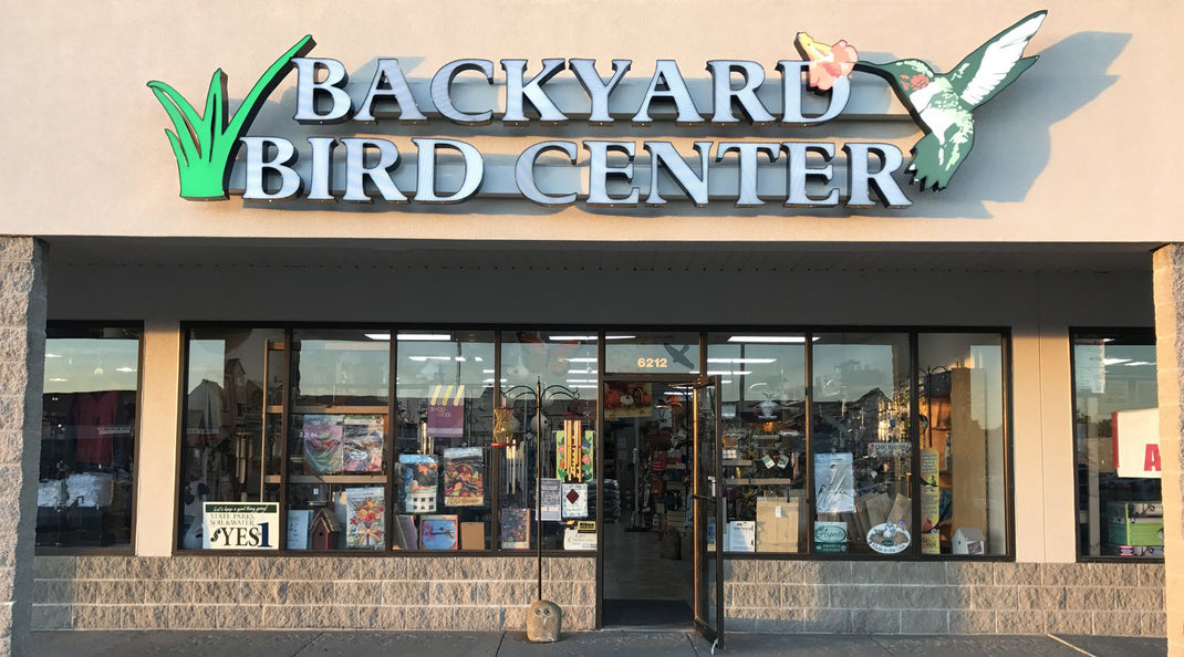 Bird feeders, birdseed, bird houses attracting birds to your backyard ...